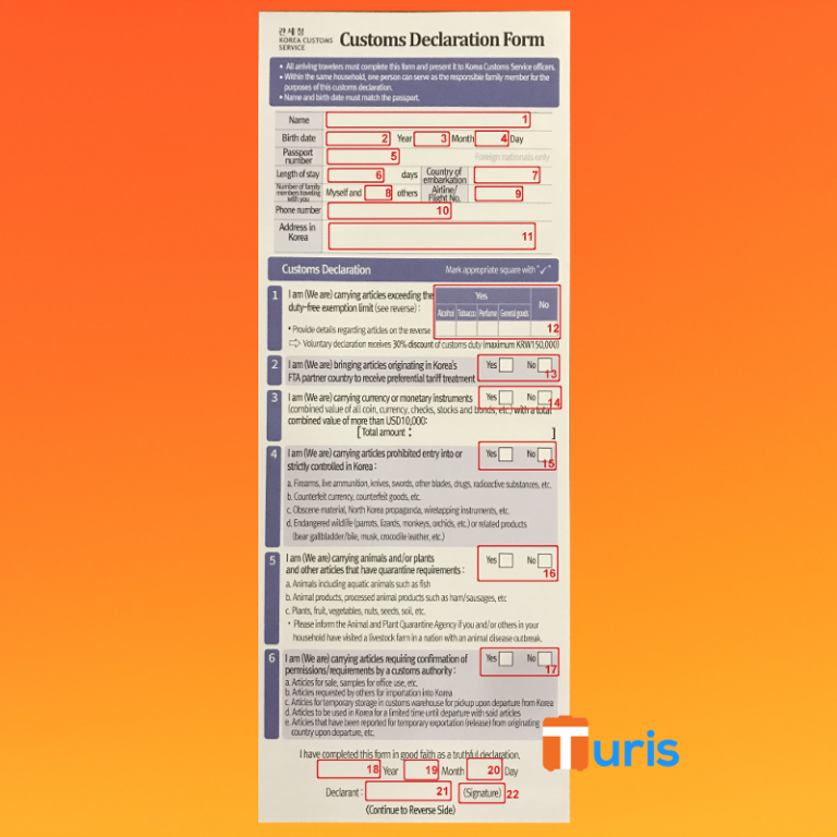 Cara Mengisi Customs Declaration (Deklarasi Barang Bawaan) Korea ...